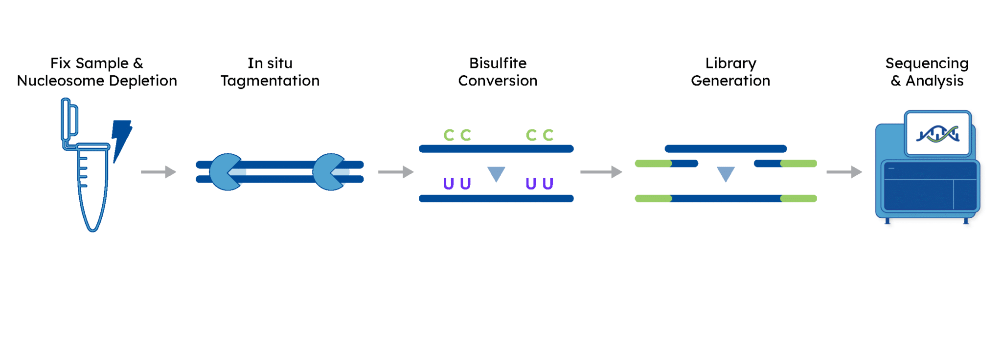 Single Cell Methylation Kit Scale Biosciences