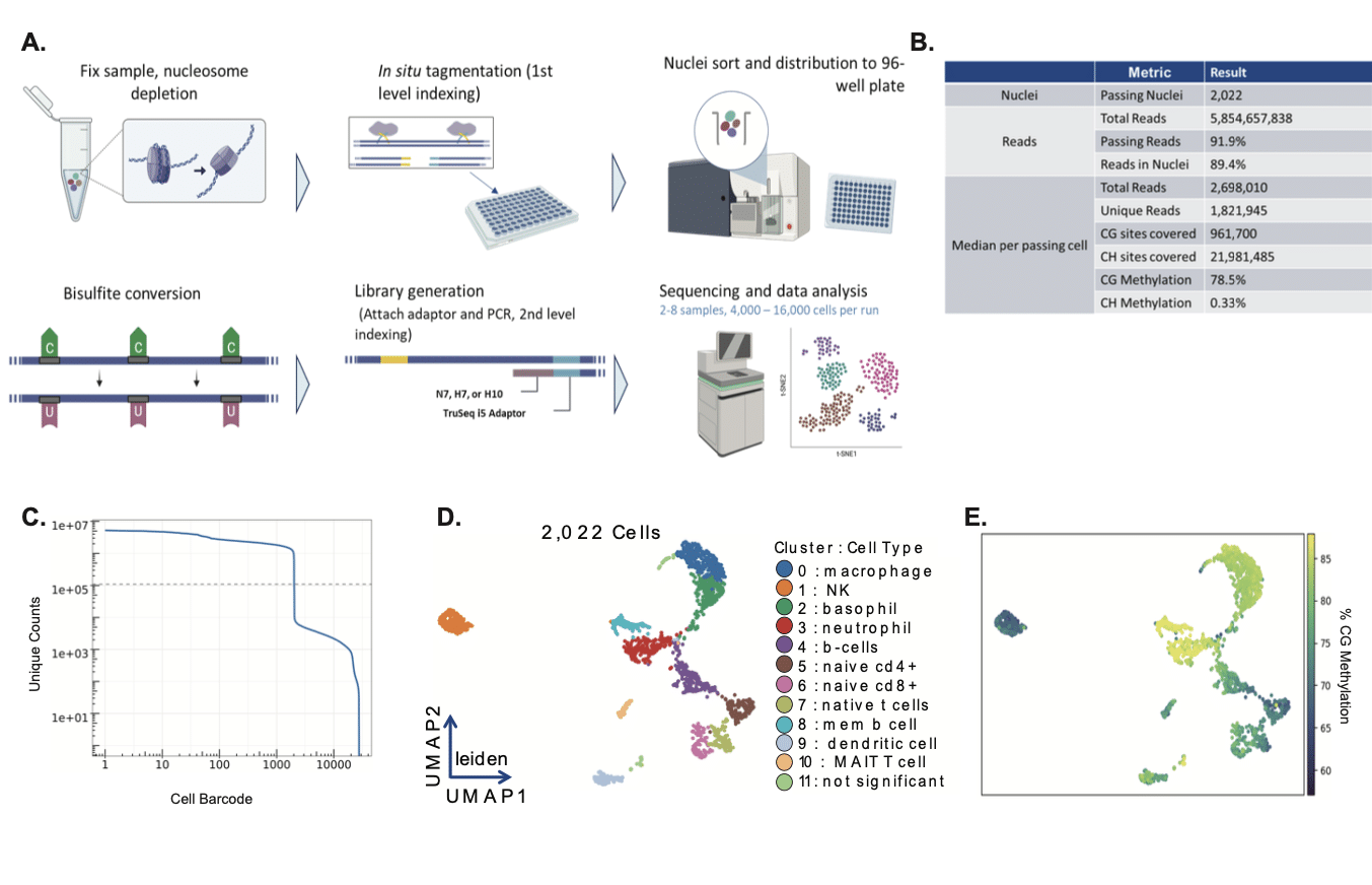 Scalebio at AGBT 2024
