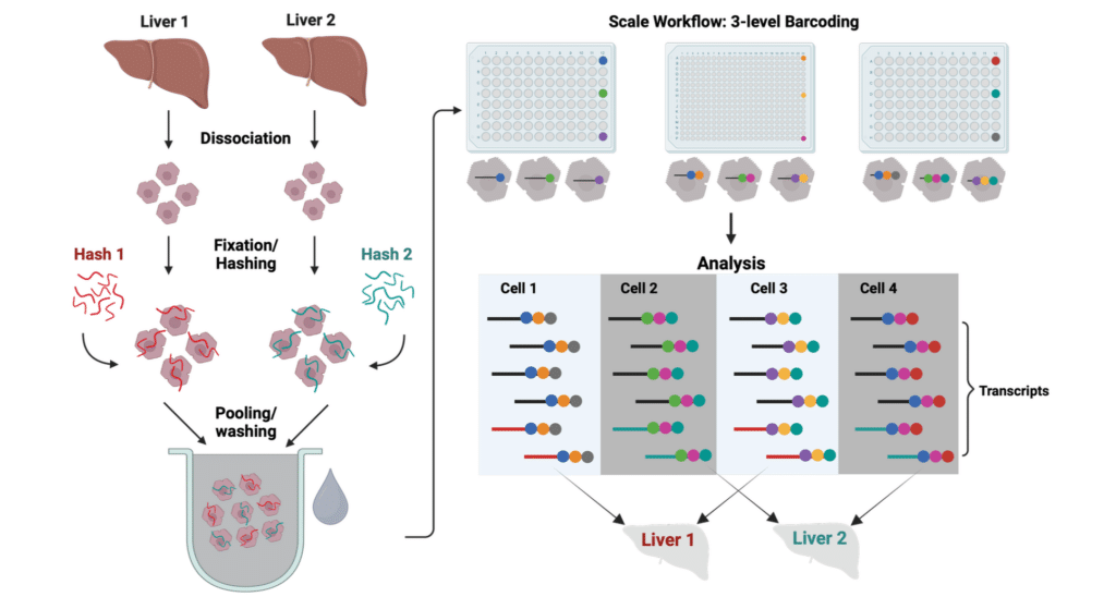 Scalebio at AGBT 2024