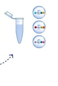 Quantum Barcoding Technology | Scale Biosciences