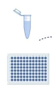 Quantum Barcoding Technology | Scale Biosciences