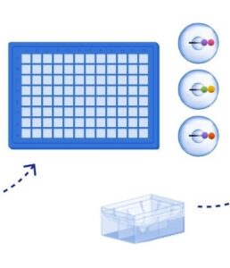 Quantum Barcoding Technology | Scale Biosciences
