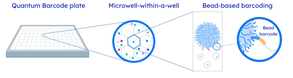 Quantum Barcoding Technology | Scale Biosciences