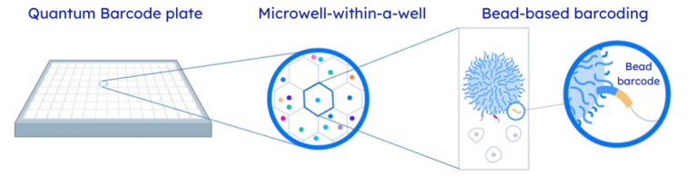 Quantum Barcoding Technology | Scale Biosciences