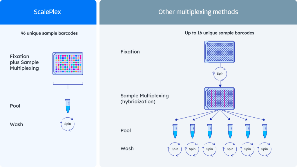 QuantumScale Single Cell RNA | Scale Biosciences